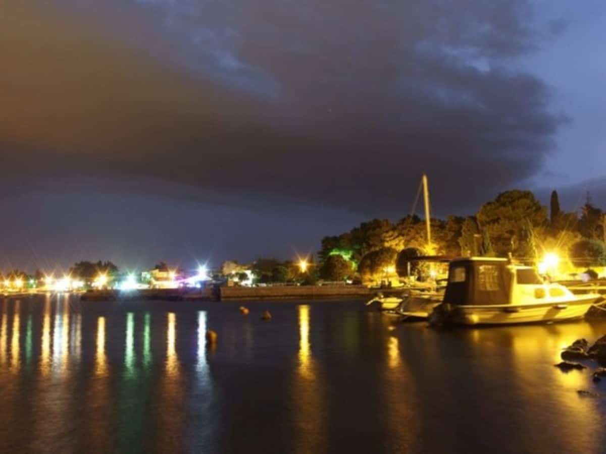 Light pollution from cities poses threat to coastal species - The ...