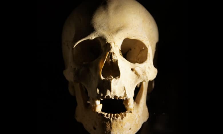 Hyderabad: Panic in Medchal after locals find skull, murder suspected