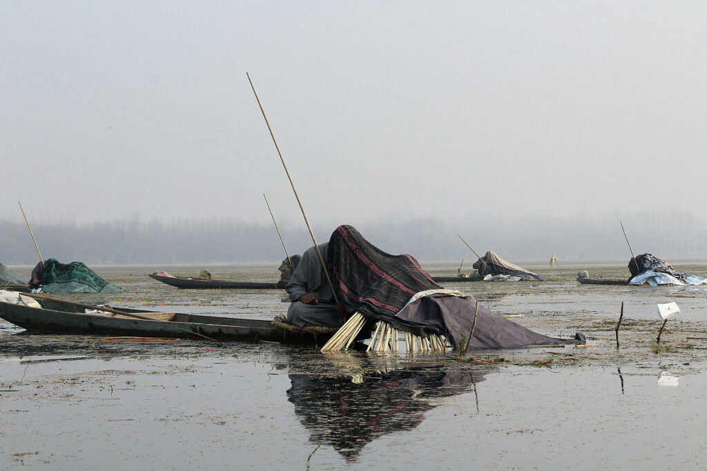 Photos: Traditional shadow fishing in Kashmir’s Anchar Lake - The ...