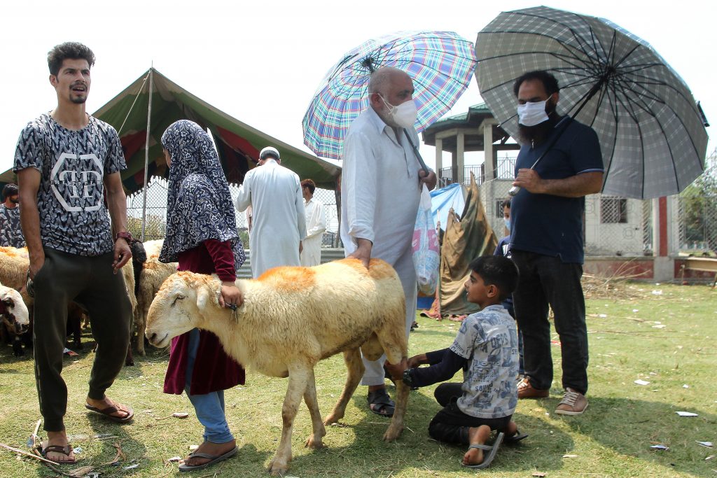 Eid Ul Adha: Sale of sacrificial animals hit hard due to Covid in ...