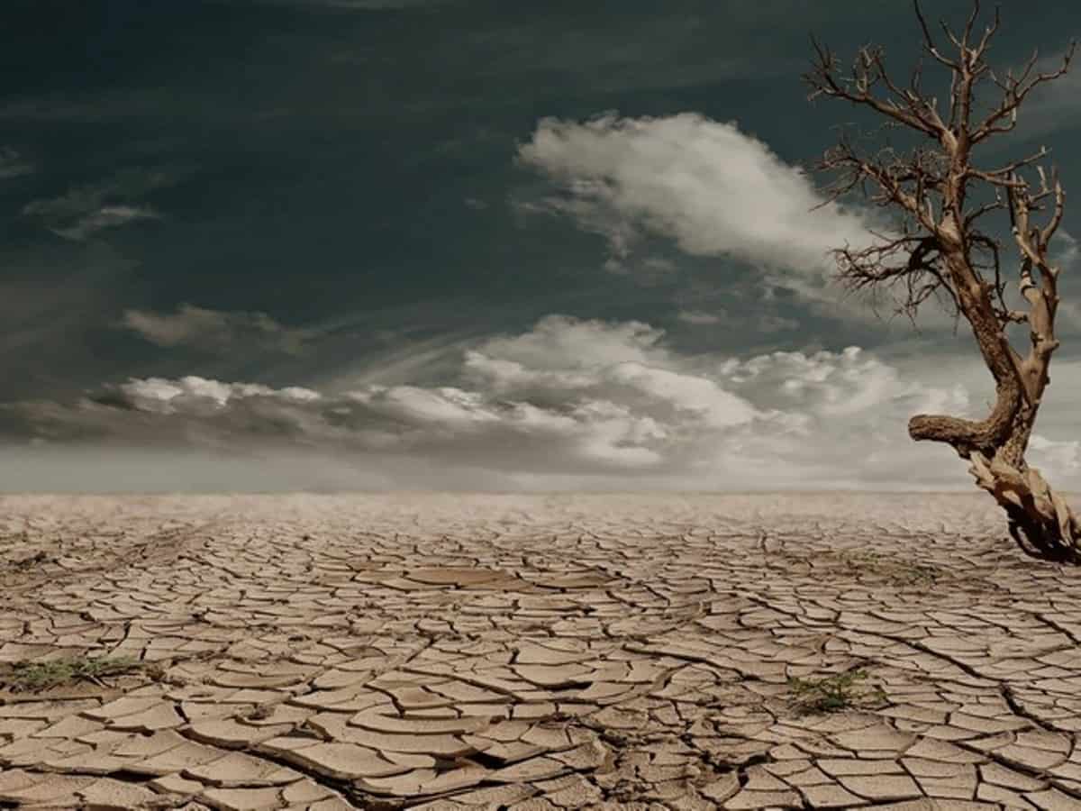 2022 the fifth warmest year on record: NASA 2022 the fifth warmest year on record: NASA