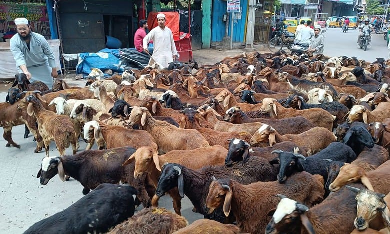 Hyderabad sees jump in sheep prices ahead of Bakrid due to rains