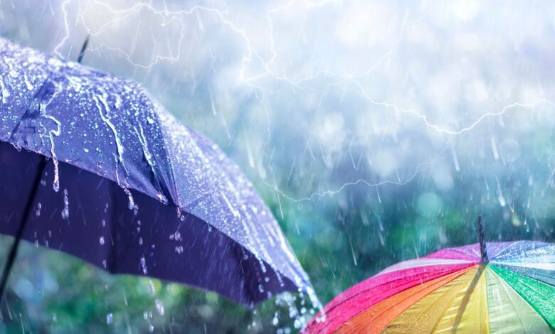 Hyderabad parents urge school holiday amid incessant rainfall