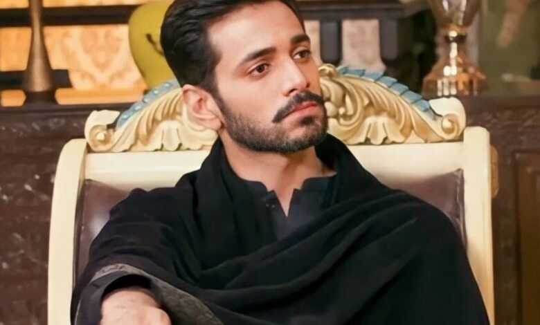 Only 3 have done it: Pakistani actors who entered 3 Billion club