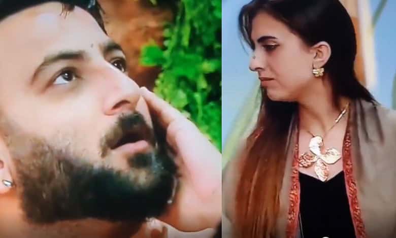 Farhana 'slaps' Shehbaz in Bigg Boss 19, video goes viral