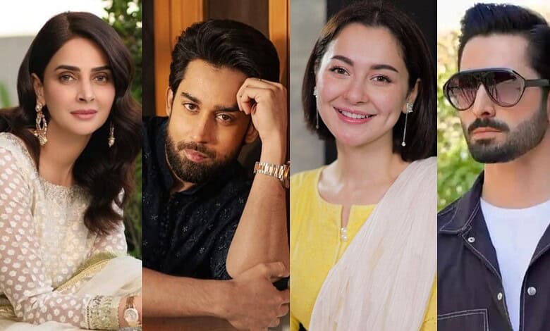 Pakistani stars who ruled 2025: Top 10 male and female actors