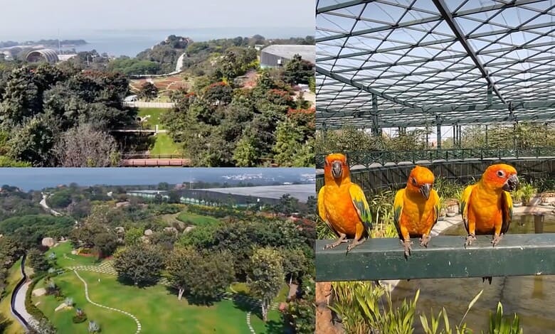 Inside Hyderabad’s stunning new eco park near Himayat Sagar
