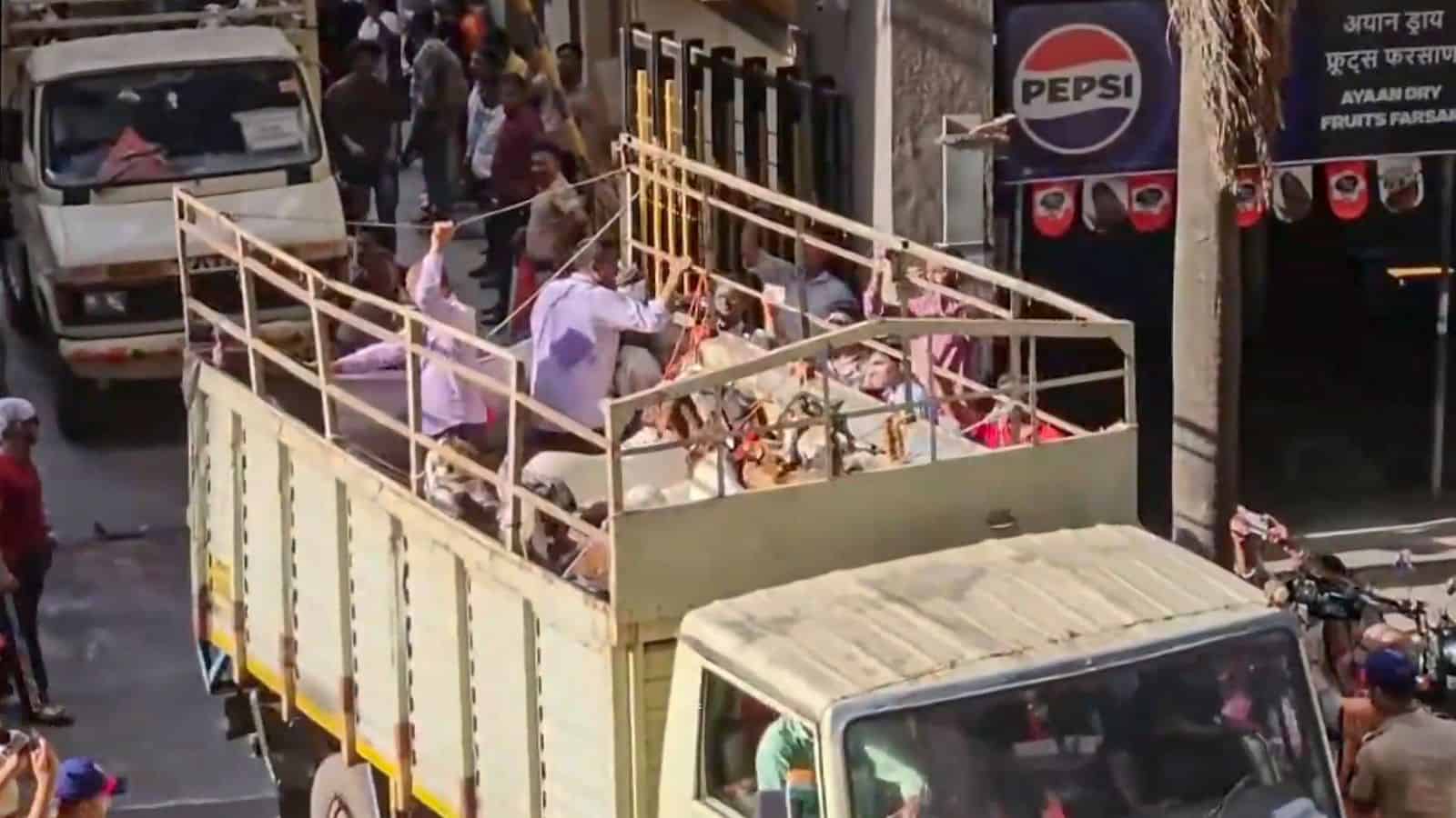 Thane society row over Bakrid sacrificial goats triggers unrest