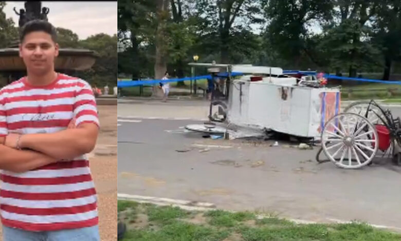 Indian teen dies saving mother in NYC horse carriage accident