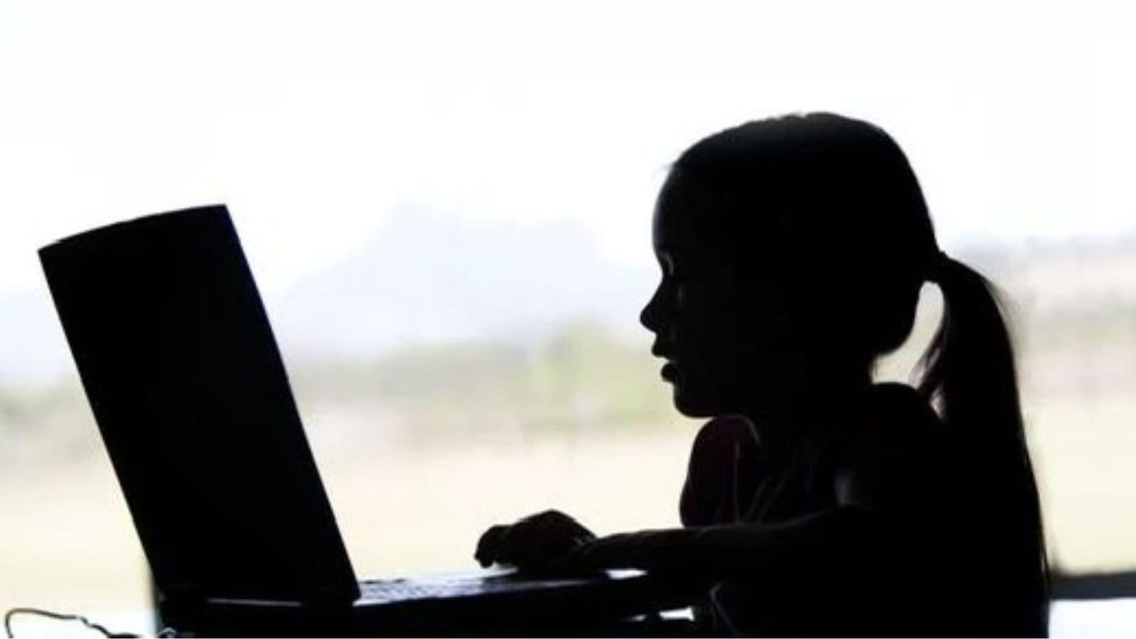 TGCSB's AI platform uncovers child abuse online network, two held