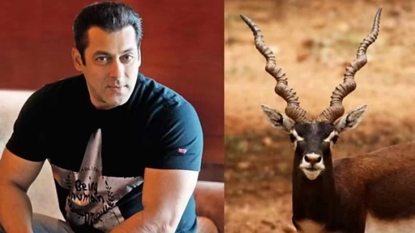 Salman Khan takes legal action against film inspired by 1998 Blackbuck Case